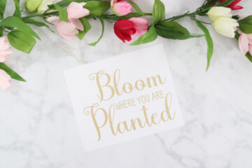 Cricut Wild Rose Vinyl Sign Tutorial | JOANN - Sweet Red Poppy