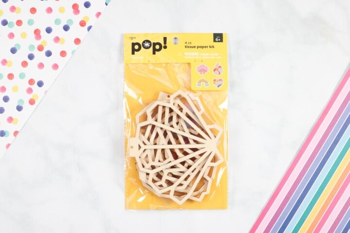 Kids POP! Craft Kits Review | JOANN - Sweet Red Poppy