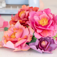 Sweet Red Poppy - Cricut, Sewing, Crafting & DIY Tutorials