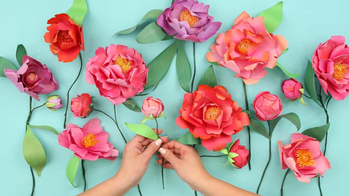 DIY Paper Peony Flower - Sweet Red Poppy