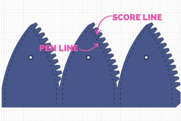 Baseball Hat 3D Gift Box Template - Sweet Red Poppy