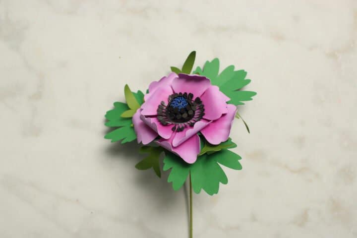 DIY Paper Anemone Flower Template - Sweet Red Poppy