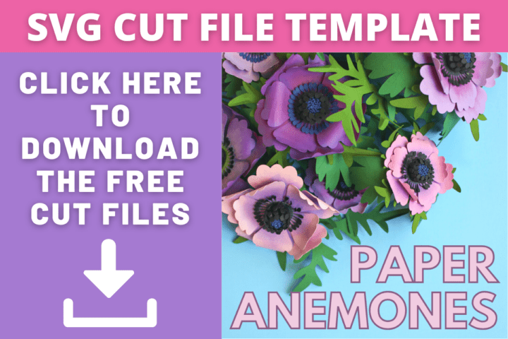 DIY Paper Anemone Flower Template - Sweet Red Poppy