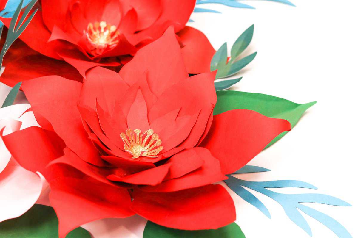 Poinsettia Paper Flower - Sweet Red Poppy