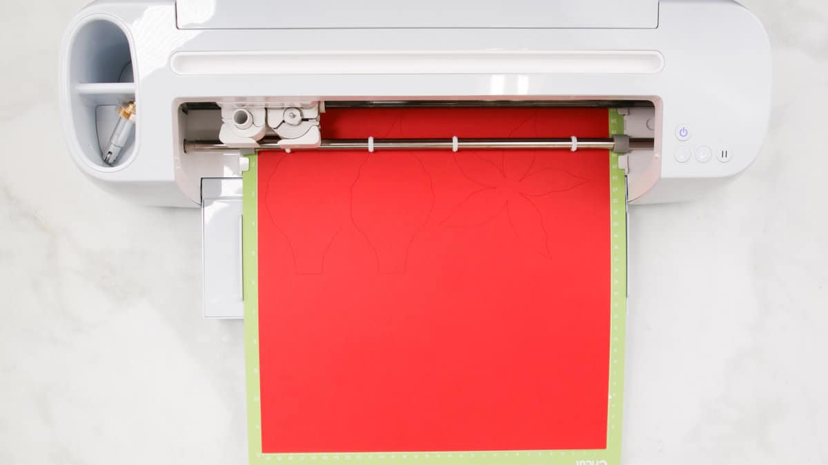 Poinsettia Paper Flower - Sweet Red Poppy