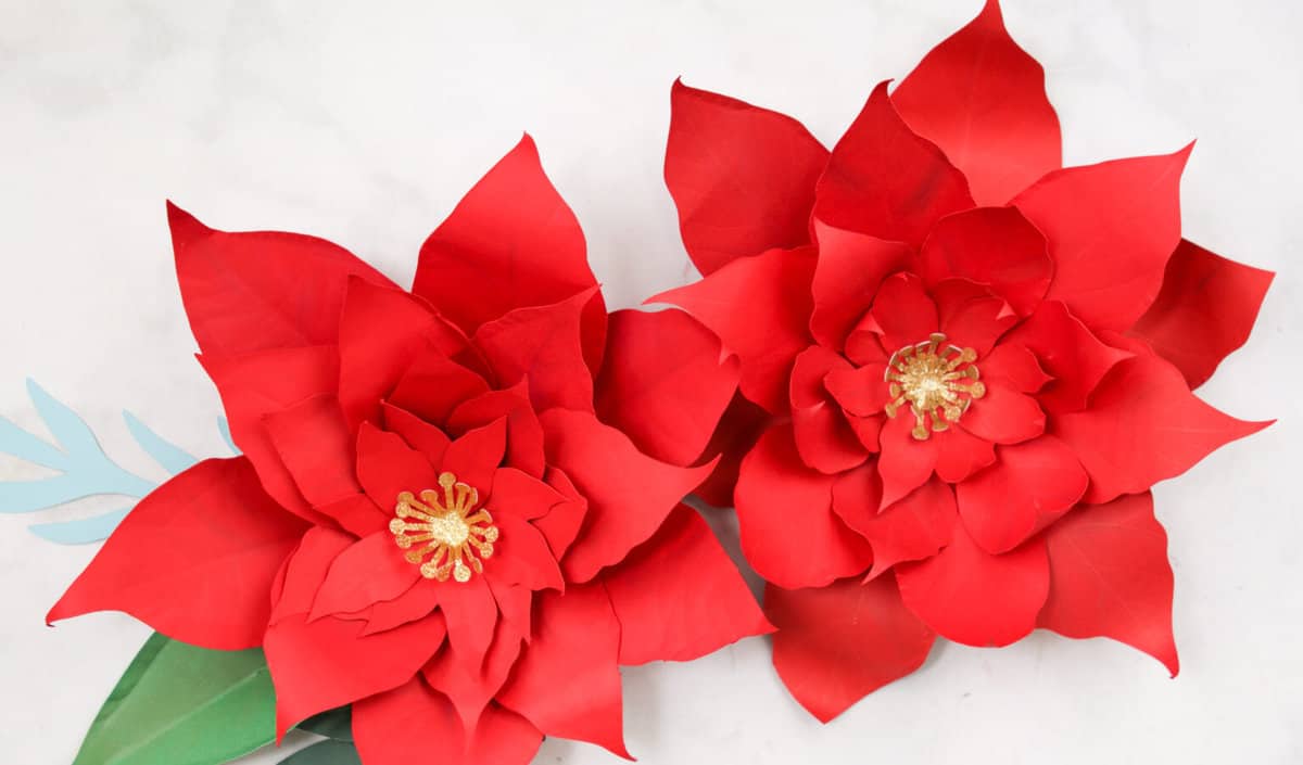 Poinsettia Paper Flower - Sweet Red Poppy
