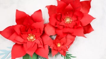 Poinsettia Paper Flower - Sweet Red Poppy