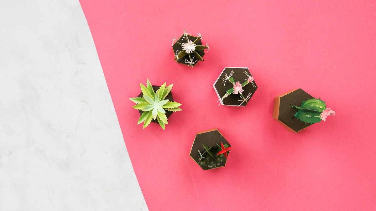 3D Potted Paper Cactus Free Templates and Tutorial - Sweet Red Poppy