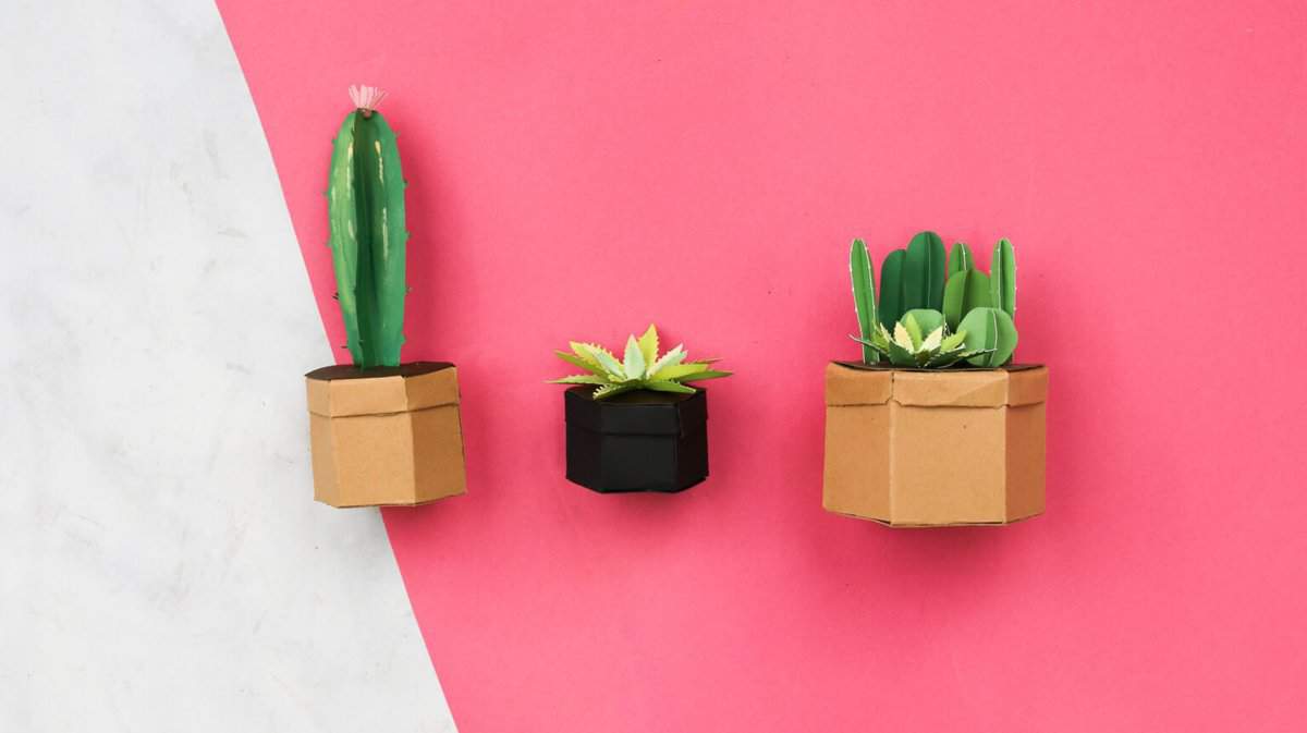3D Potted Paper Cactus Free Templates and Tutorial - Sweet Red Poppy