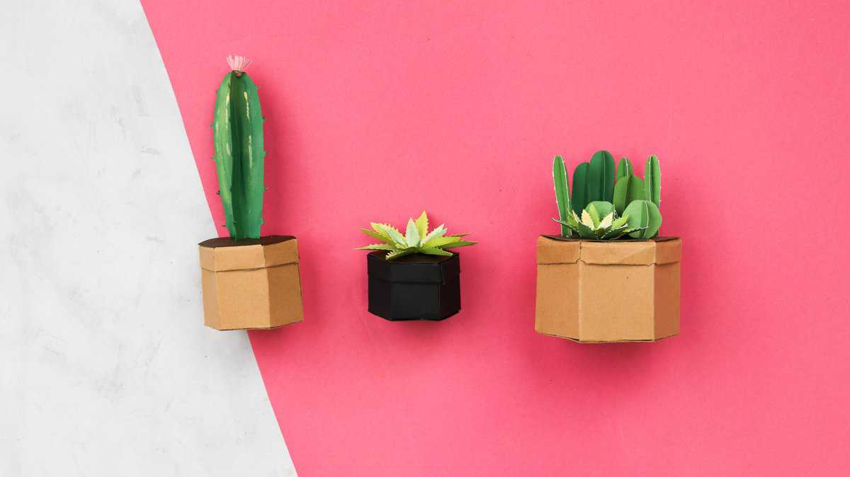 3D Potted Paper Cactus Free Templates and Tutorial - Sweet Red Poppy