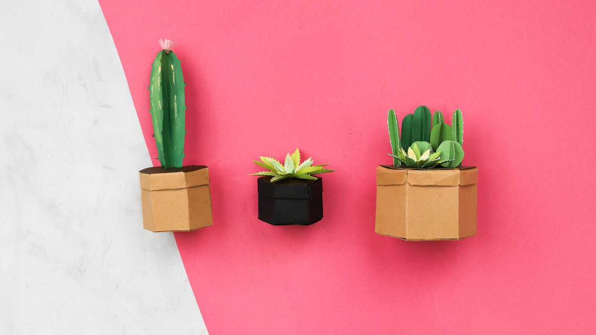 3D Potted Paper Cactus Free Templates and Tutorial - Sweet Red Poppy