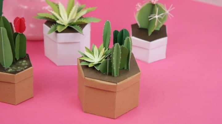 3D Potted Paper Cactus Free Templates and Tutorial - Sweet Red Poppy