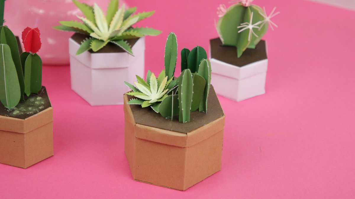 3D Potted Paper Cactus Free Templates and Tutorial - Sweet Red Poppy