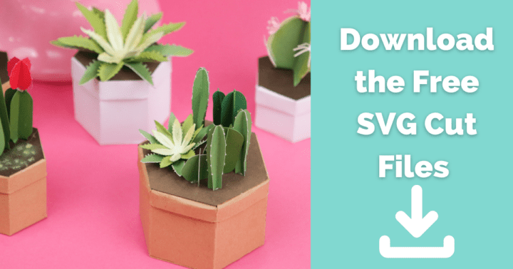 3D Potted Paper Cactus Free Templates and Tutorial - Sweet Red Poppy