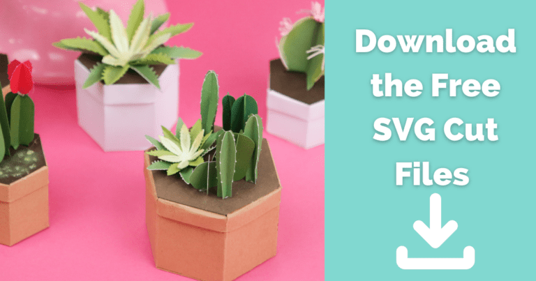 3D Potted Paper Cactus Free Templates and Tutorial - Sweet Red Poppy