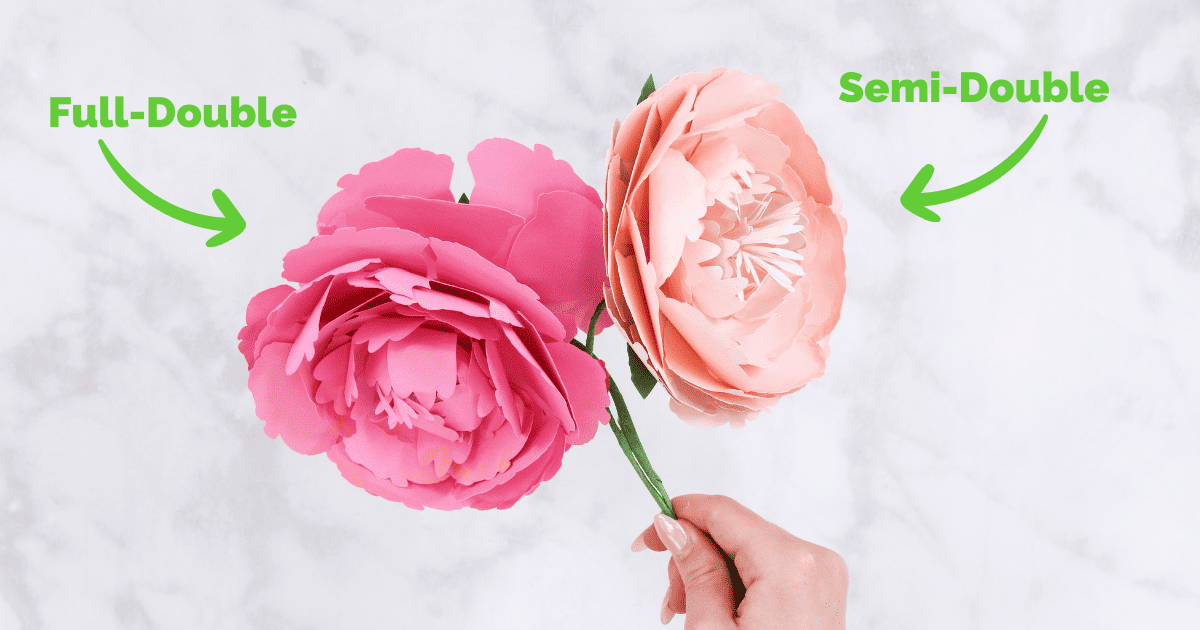 Ball Peony Paper Flower Free Template - Sweet Red Poppy