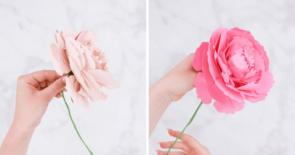 Ball Peony Paper Flower Free Template - Sweet Red Poppy