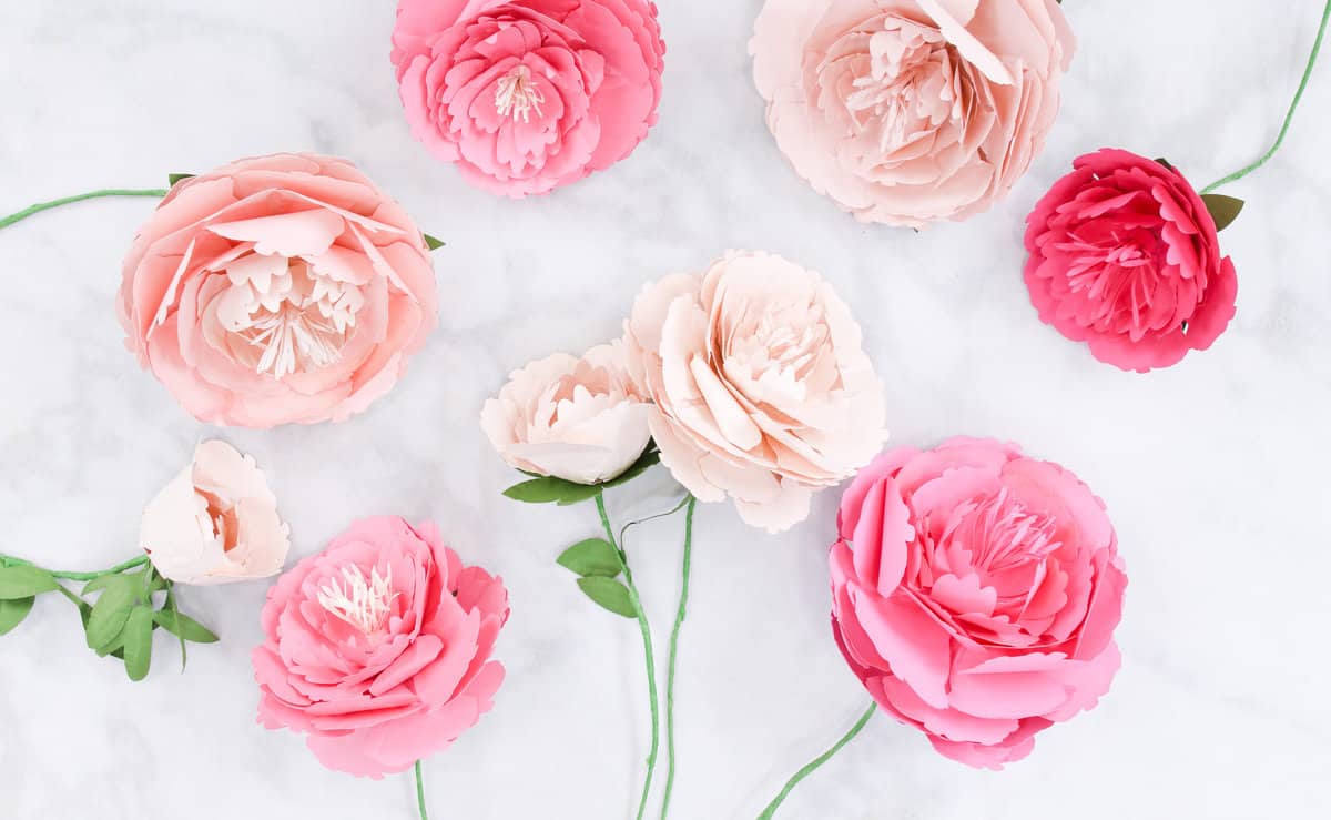 Ball Peony Paper Flower Free Template - Sweet Red Poppy