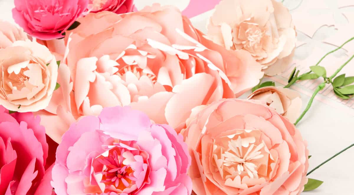 Ball Peony Paper Flower Free Template - Sweet Red Poppy