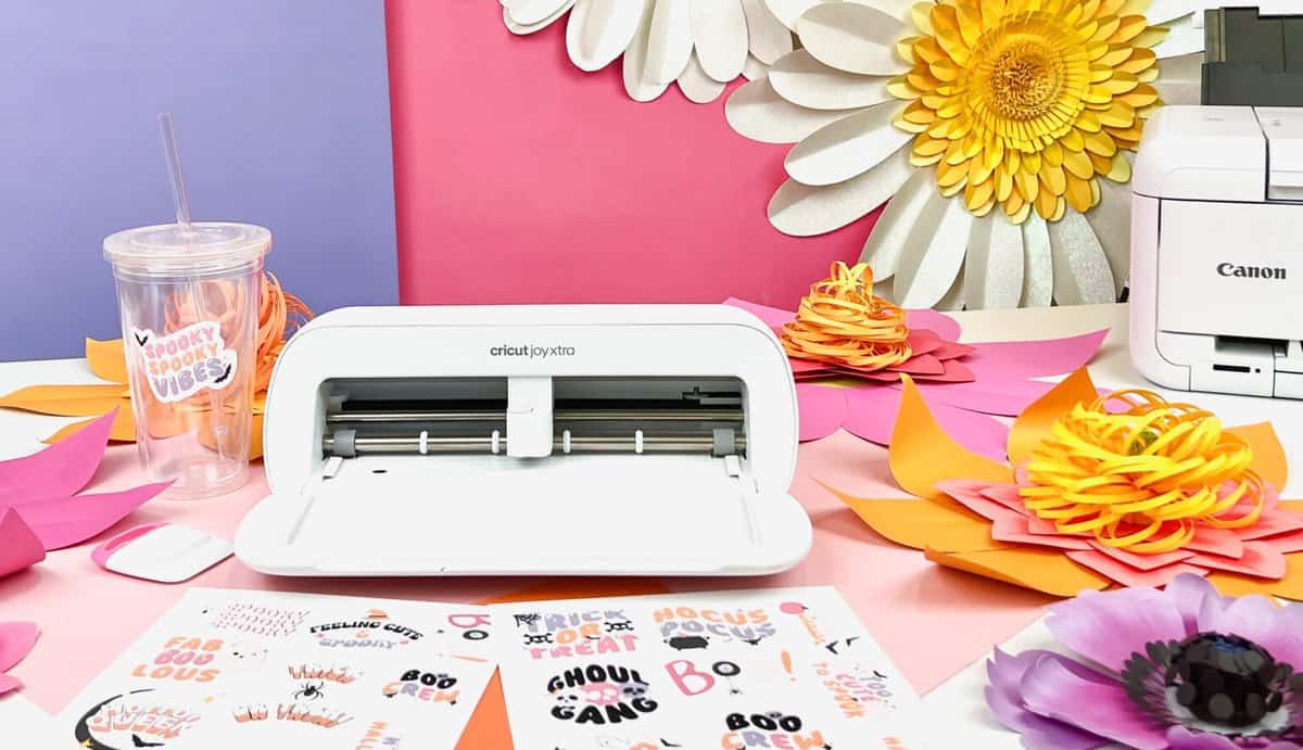 Everything You Need to Know - Cricut Joy Xtra - Sweet Red Poppy