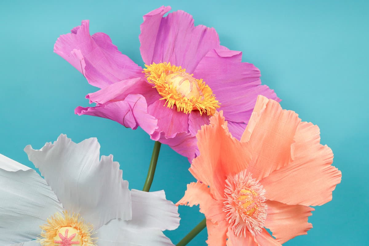 How to Make Giant Crepe Paper Poppy Flowers - Sweet Red Poppy