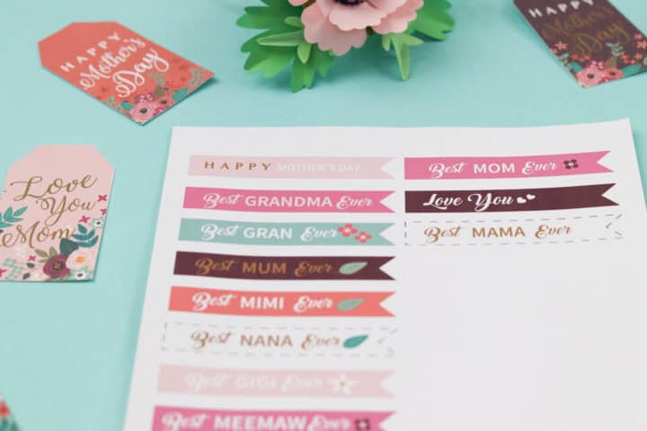 Free Printable Mother's Day Gift Tags - Sweet Red Poppy