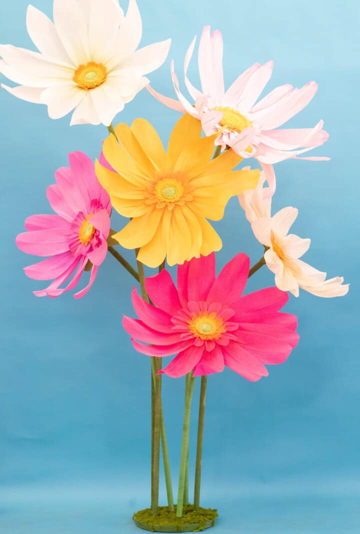 Large Crepe Paper Daisy Flower Tutorial - Sweet Red Poppy