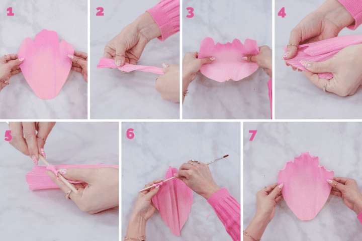 How to Make a Large Crepe Paper Peony - Sweet Red Poppy