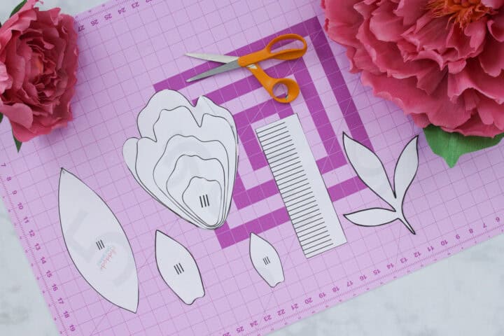 How to Make a Large Crepe Paper Peony - Sweet Red Poppy